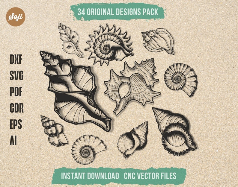 Seashells Svg Bundle Sea Shell Dxf File Sea Shells Svg Bundle Cnc ...