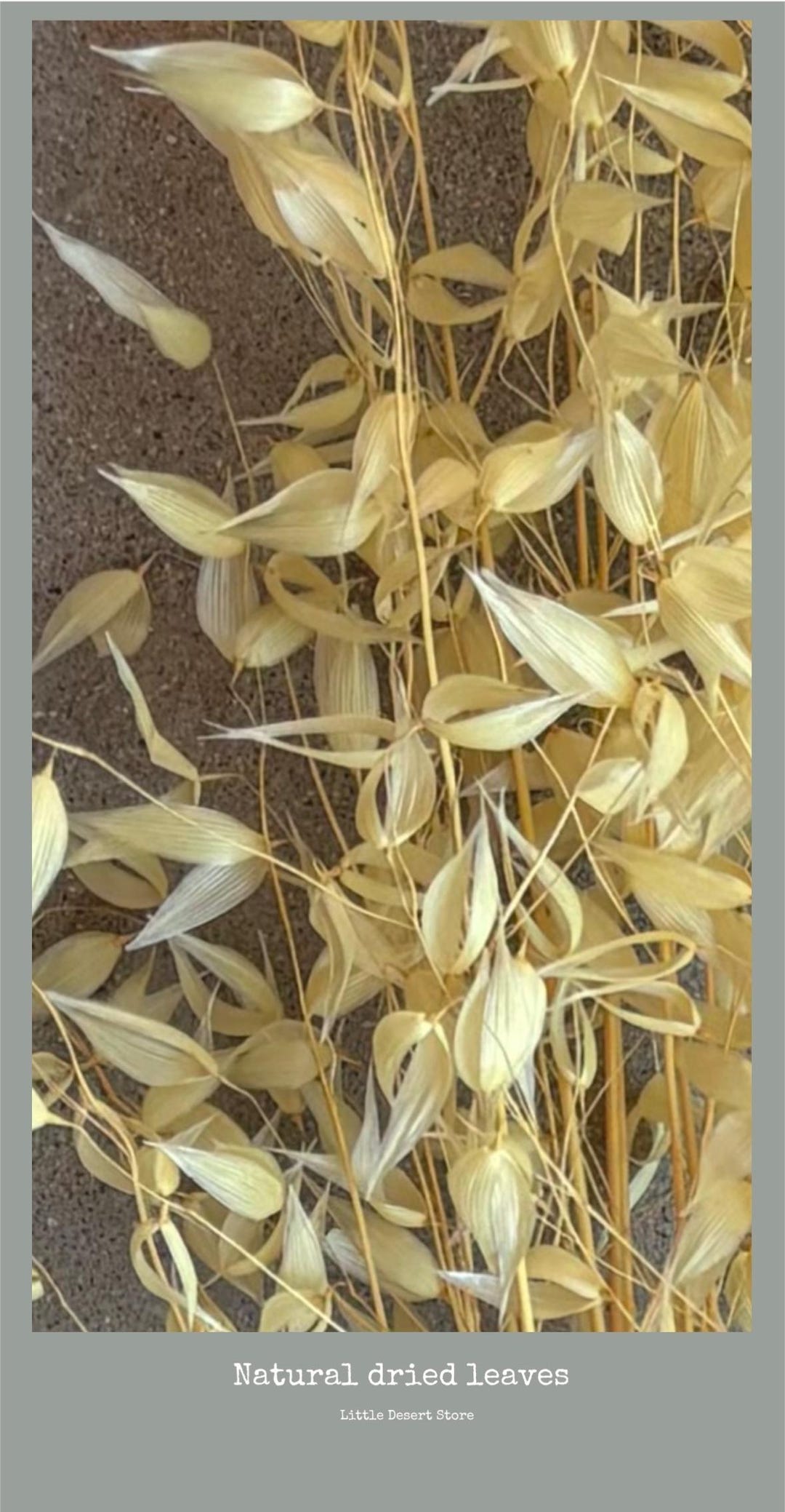 Natural Dried Leaves for Vase Decor, Floral Arrangement - Etsy