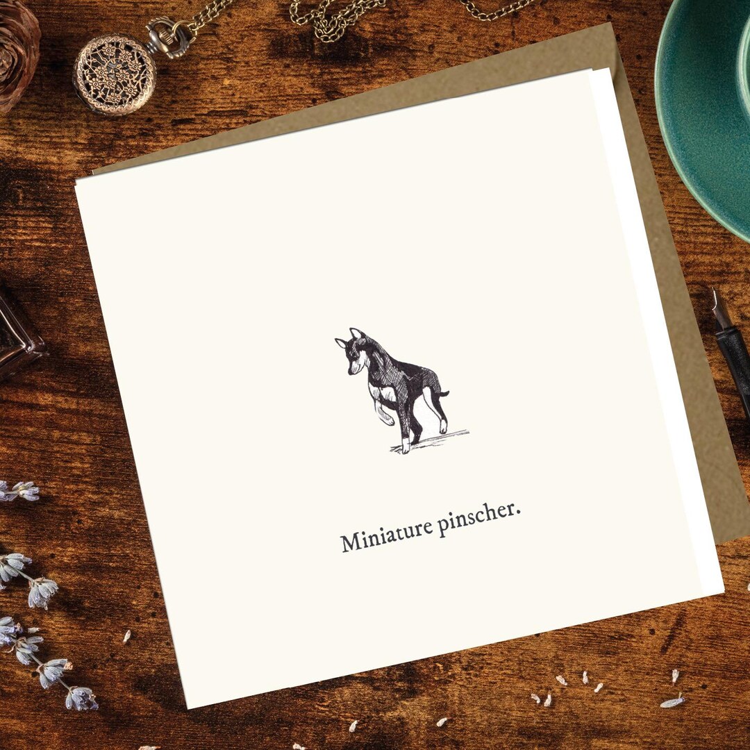 Miniature Pinscher / Square Greetings Card Blank / Card From the Dog ...