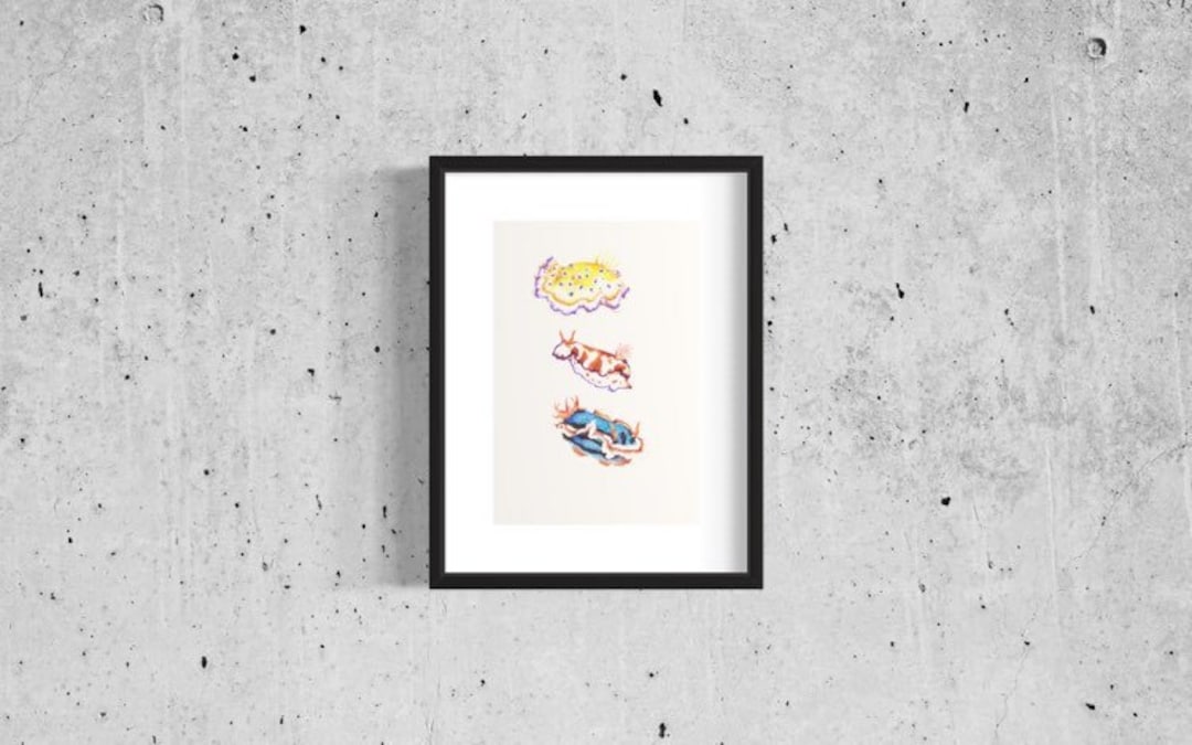 Nudibranch Art - Etsy
