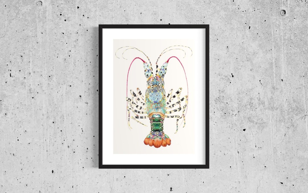 Painted Crayfish Art - Etsy