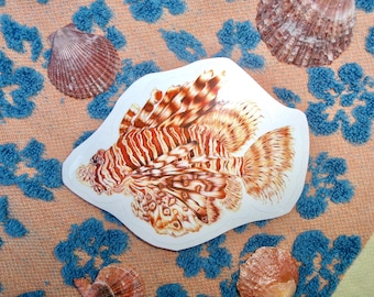 Lionfish Decal | Lionfish Vinyl Decal | Lionfish Sticker | Tropical ...