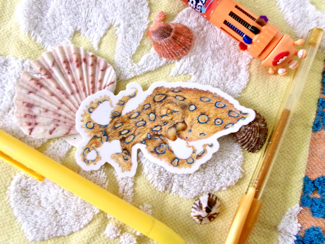 Blue Ringed Octopus Sticker - Etsy