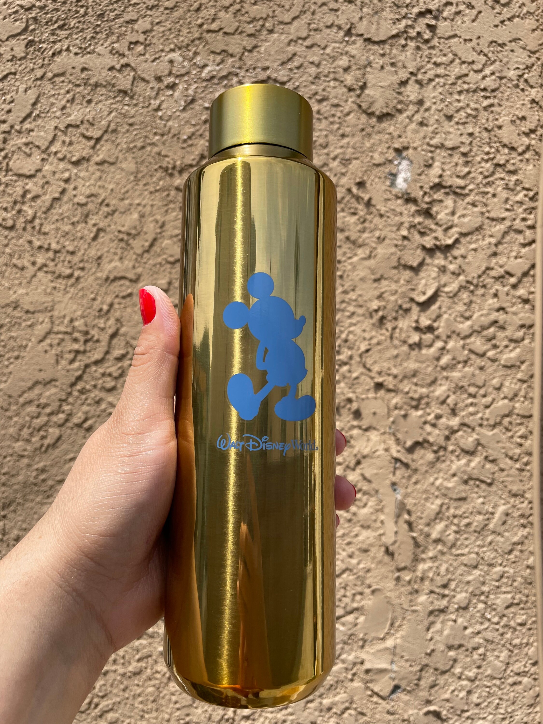 Starbucks Collaboration With Disney Golden Flask Tumbler - Etsy