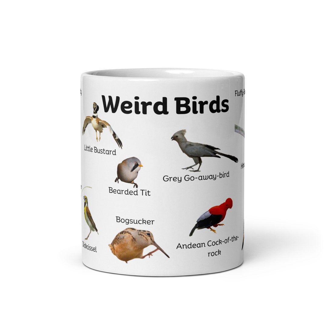 Funny Bird Names Mug - Funny Bird Mug - Weird Birds - Etsy