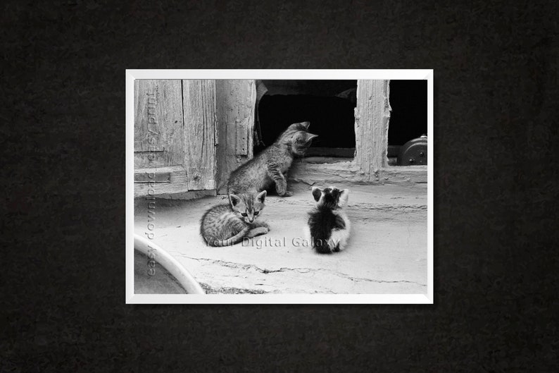 DIGITAL Printable Vintage Photo Poster, 1968 Kittens, Barn Cats, Soviet ...