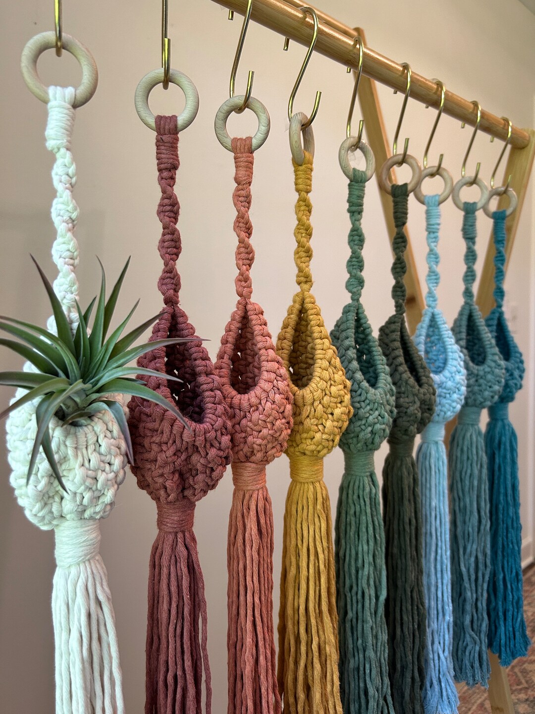 Air Plant Macrame Hanger - Etsy