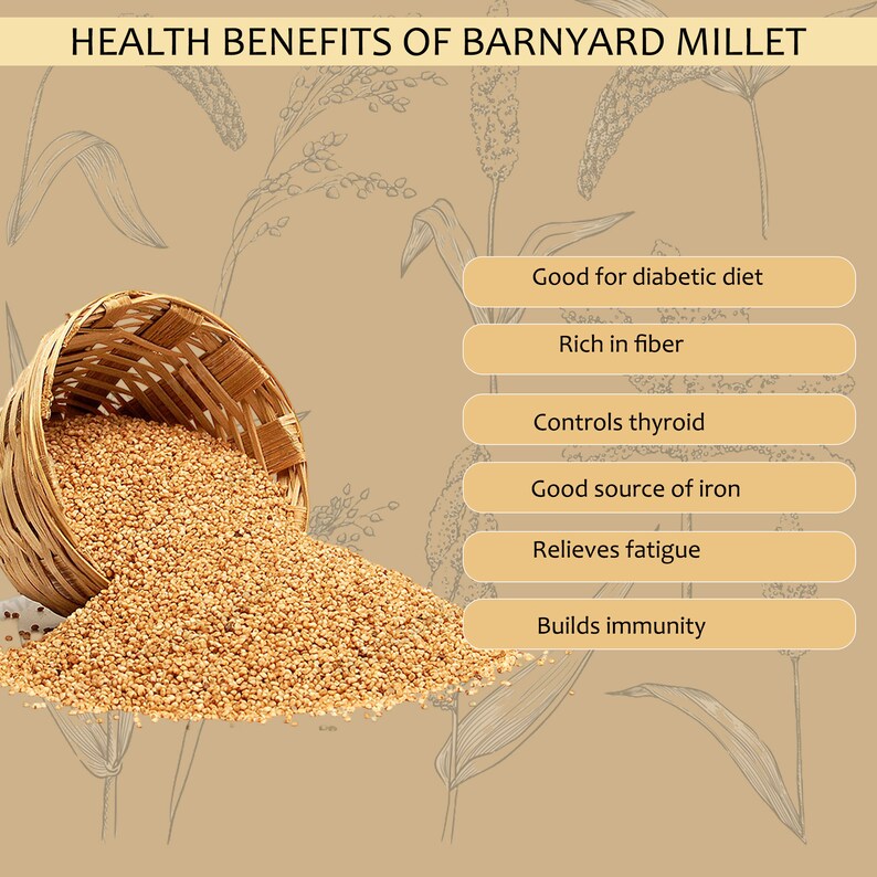 Hillpure Organic Barnyard Millets, Natural Grains Unpolished, Swank ...