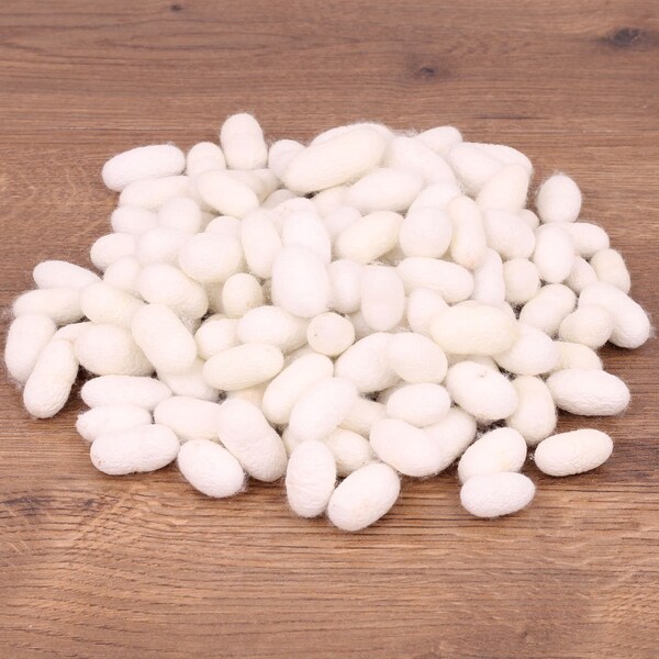 Silk Cocoon - Etsy UK