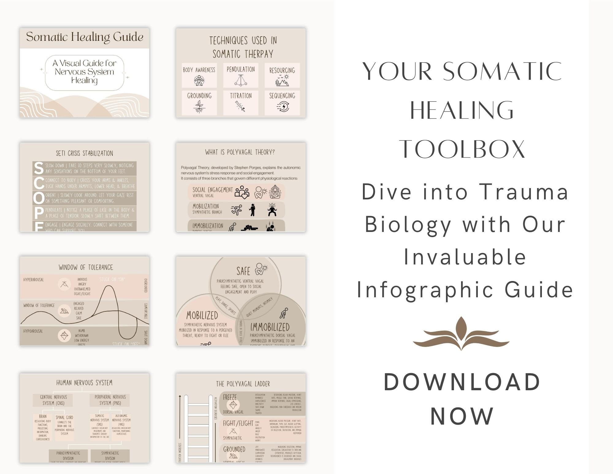 Somatic Healing Guide | Trauma Healing Infographics | Polyvagal Nervous ...