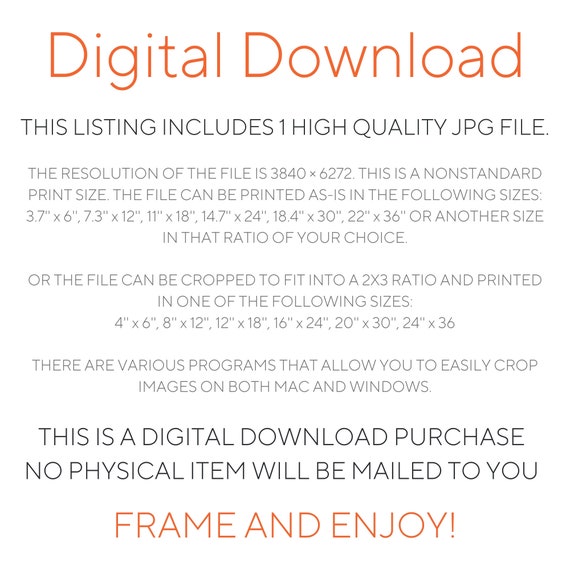 Courageous Resolution Print Free