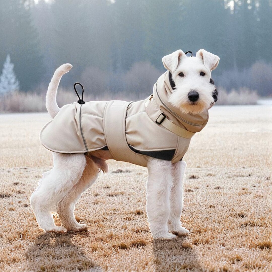 Pet Winter Coat Waterproof: Cosy Padded Jacket With High Neck and ...