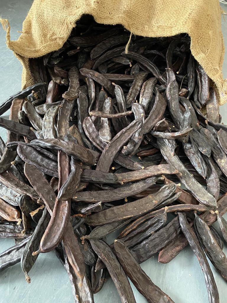 Organic Whole Carob Pods: 100% Raw and Natural - Etsy