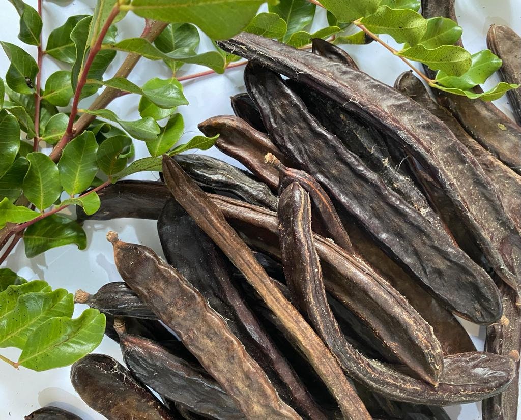 Organic Whole Carob Pods: 100% Raw and Natural - Etsy