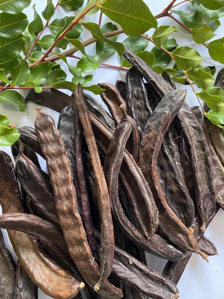 Organic Whole Carob Pods: 100% Raw and Natural - Etsy