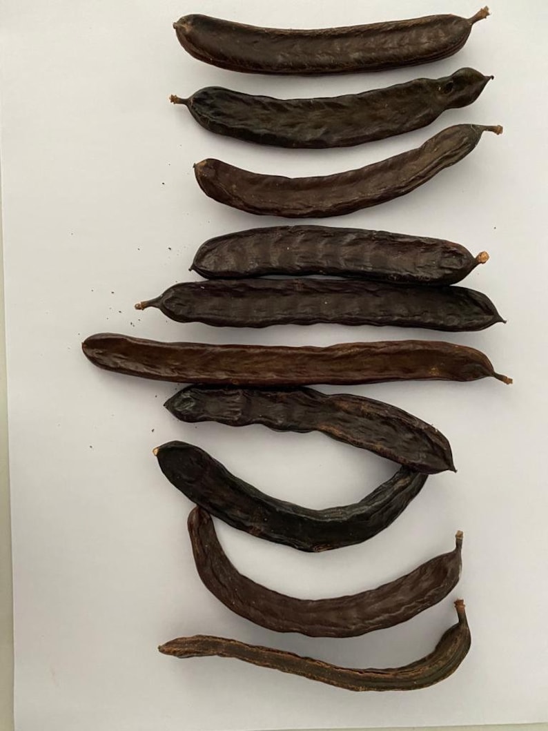 Organic Whole Carob Pods: 100% Raw and Natural - Etsy
