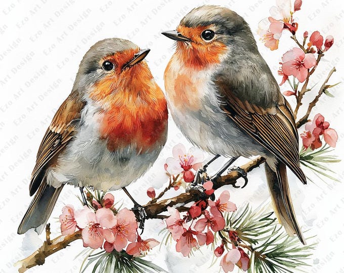 Robin Bird SVG Bundle, Robin Bird Dxf, Robin Bird Png, Robin Bird Eps ...