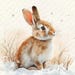 Rabbit Clipart Set: Playful Bunny in Snow - Cozy Winter Artrabbit ...