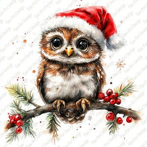 Sweet Santa Owl Clipart: Holiday JPG Images (digital Download) - Etsy