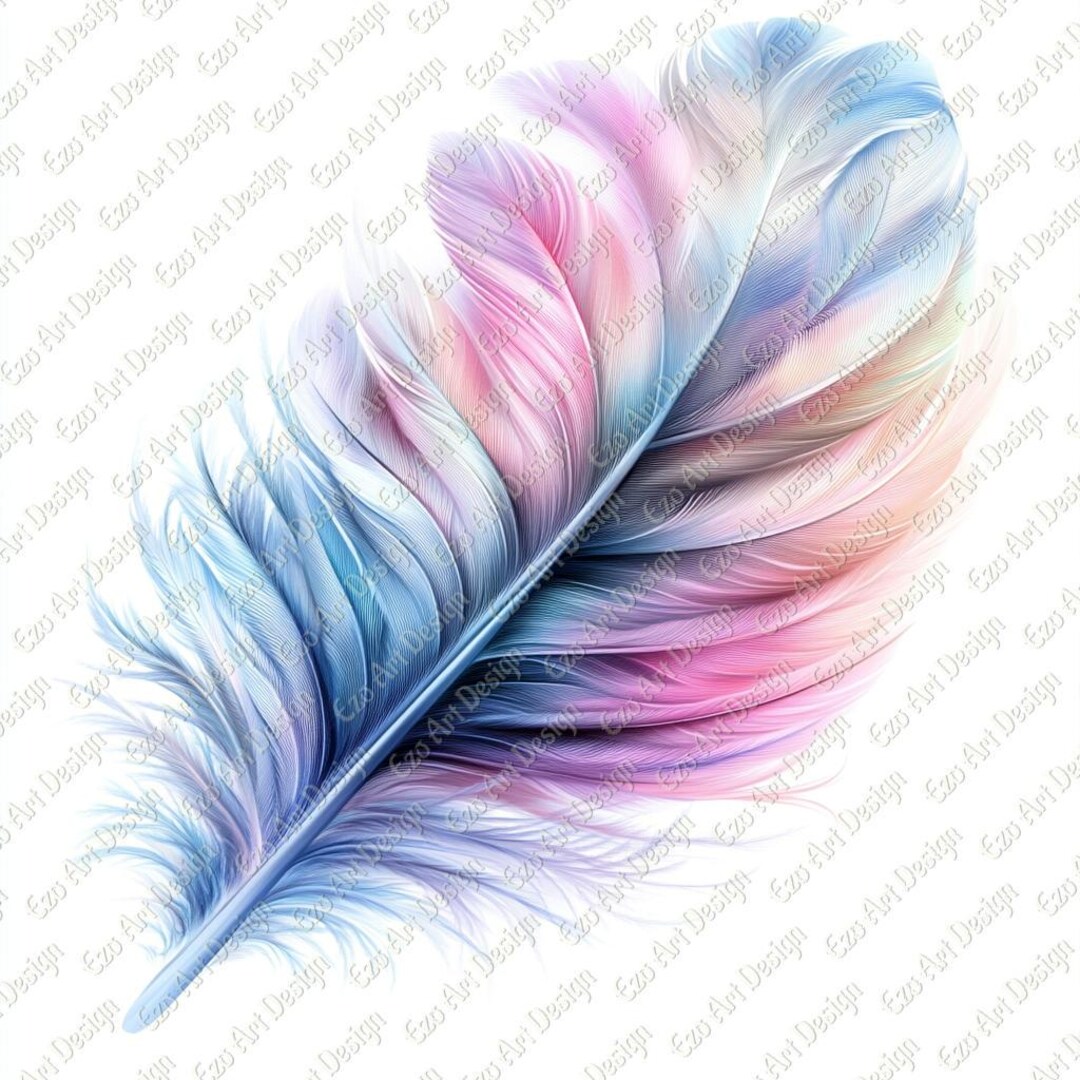 Pastel Feather Clipart, Boho Quill Art (digital Download) - Etsy