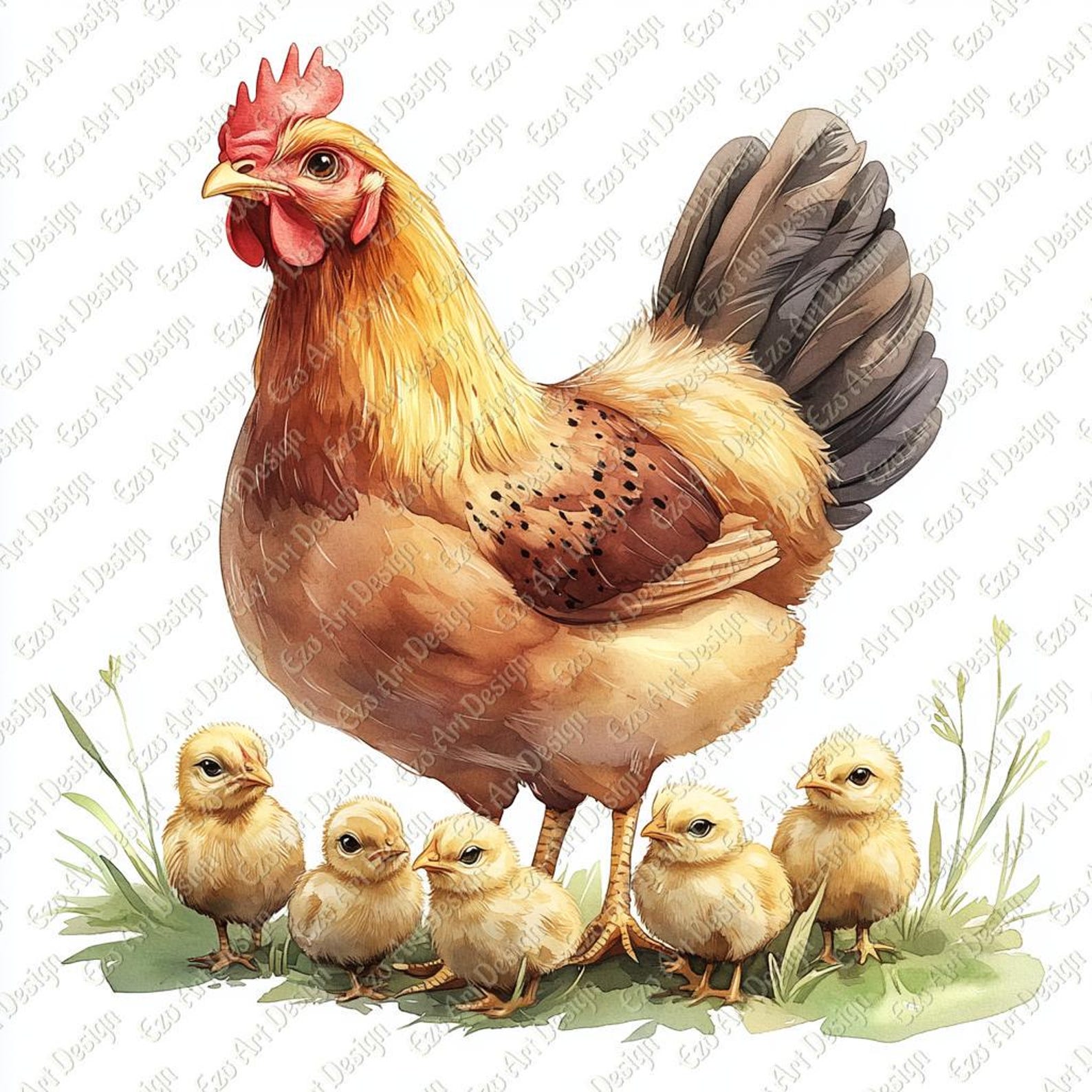 Chicken Family Clipart, Hen and Chicks JPG (digital Download) - Etsy
