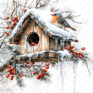 Tree Bird House Clipart, 10 High Quality JPG, Robin Bird, Winter Season ...