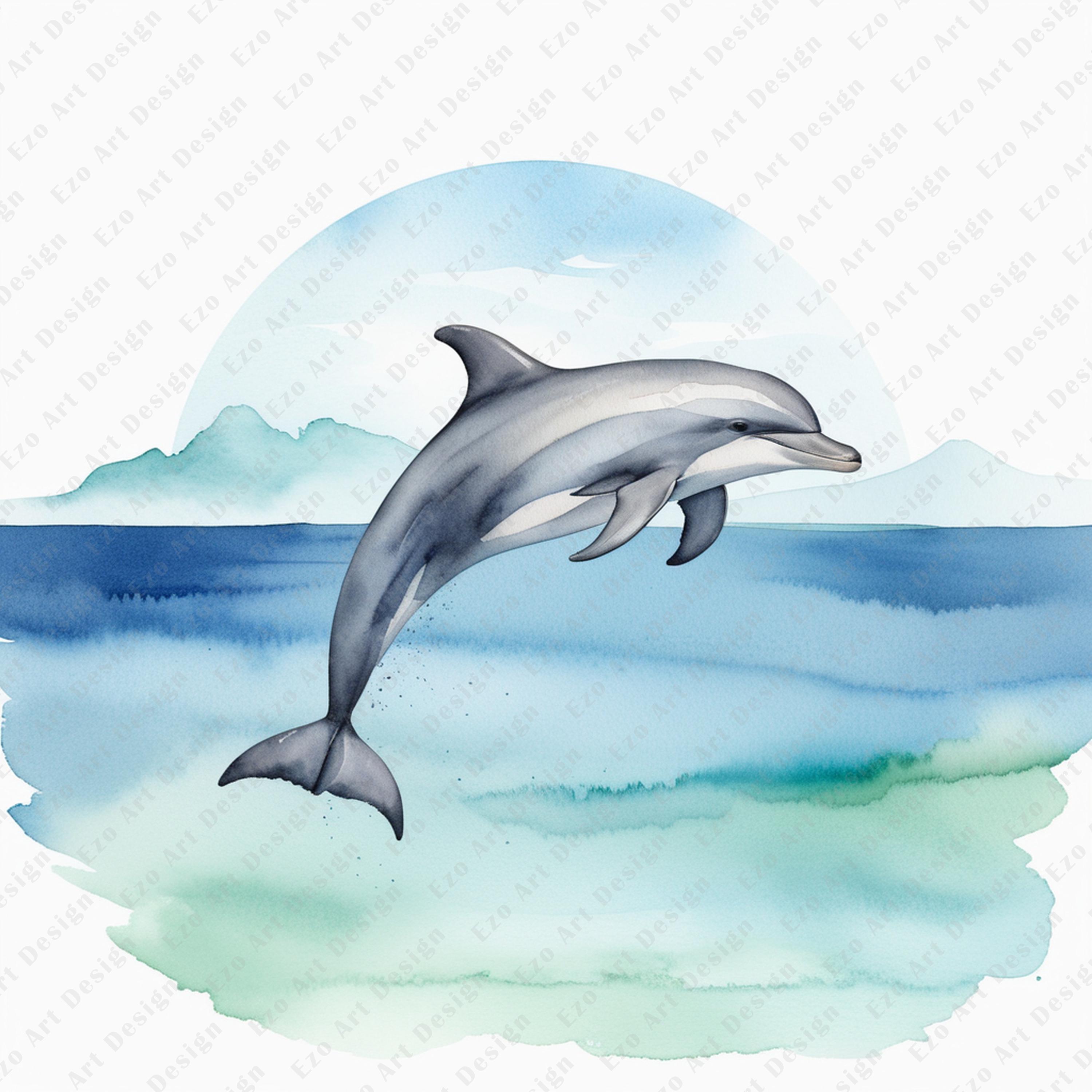 12 Watercolor Dolphin Clipart, Printable Clipart, High Quality JPG ...