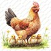 Chicken Family Clipart, Hen and Chicks JPG (digital Download) - Etsy