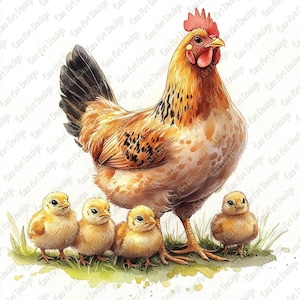 Chicken Family Clipart, Hen and Chicks JPG (digital Download) - Etsy