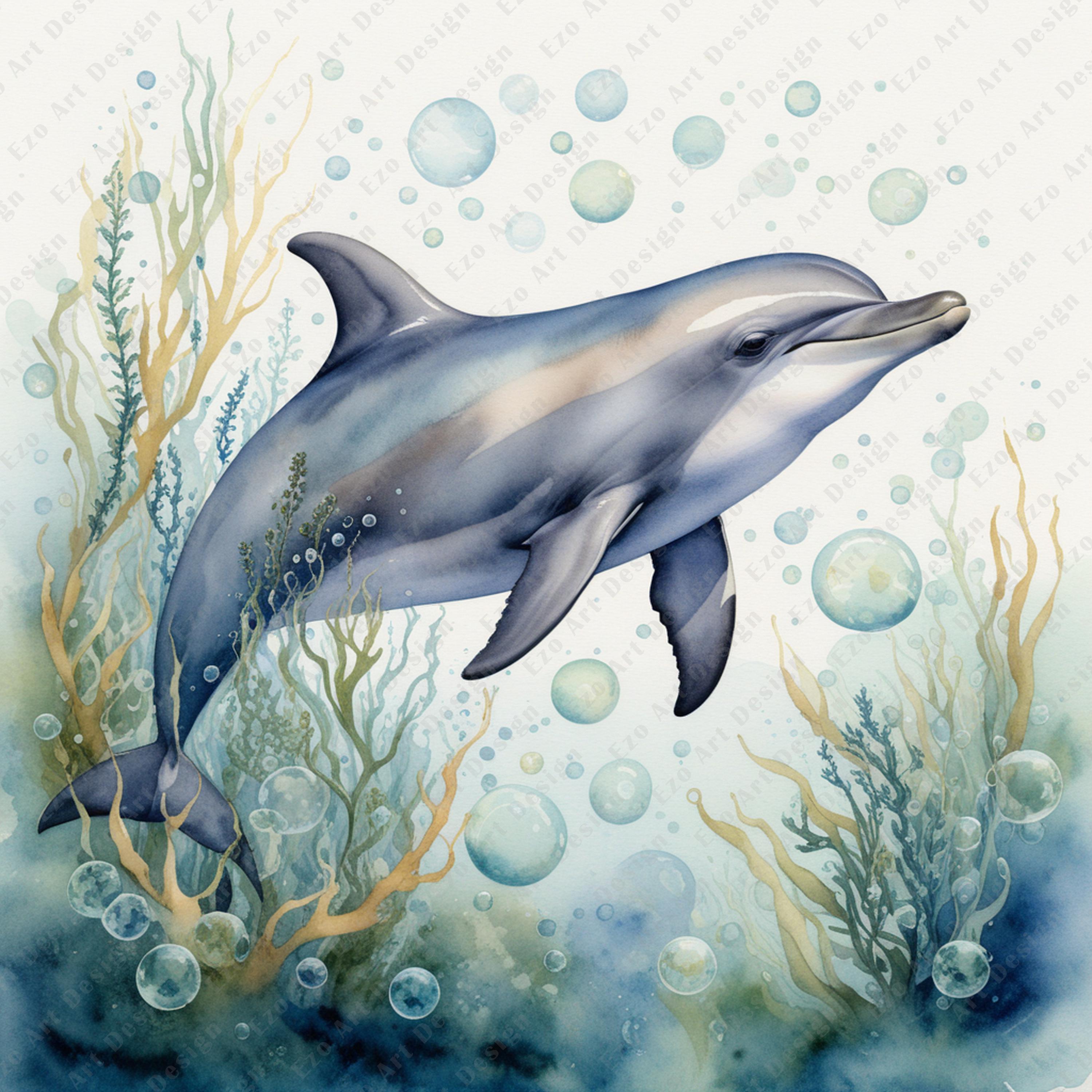 12 Watercolor Dolphin Clipart, Printable Clipart, High Quality JPG ...