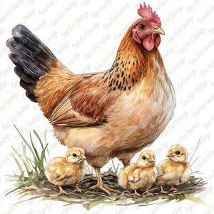 Chicken Family Clipart, Hen and Chicks JPG (digital Download) - Etsy