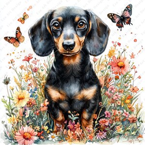 Dachshund Clipart, Floral Sausage Dog JPG (digital Download, 10 Jpgs ...