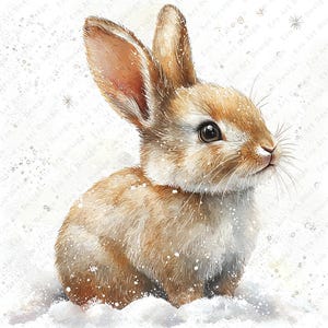 Rabbit Clipart Set: Playful Bunny in Snow - Cozy Winter Artrabbit ...