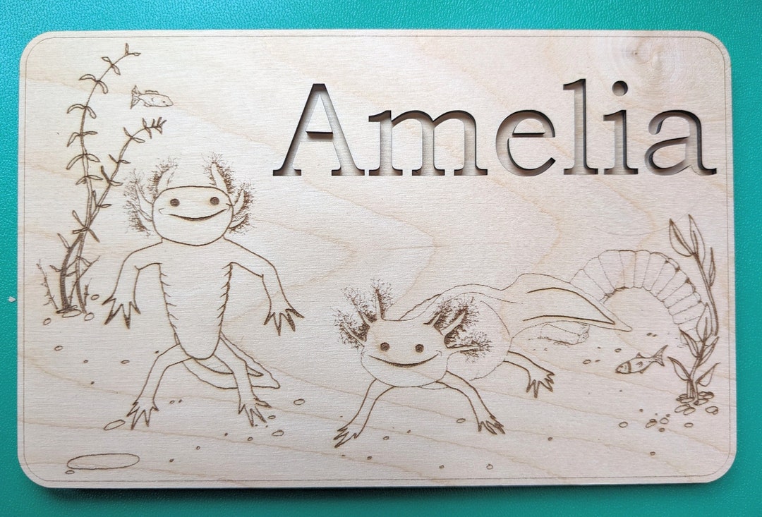 Axolotl Door Sign Personalised Plaque Name Bedroom - Etsy