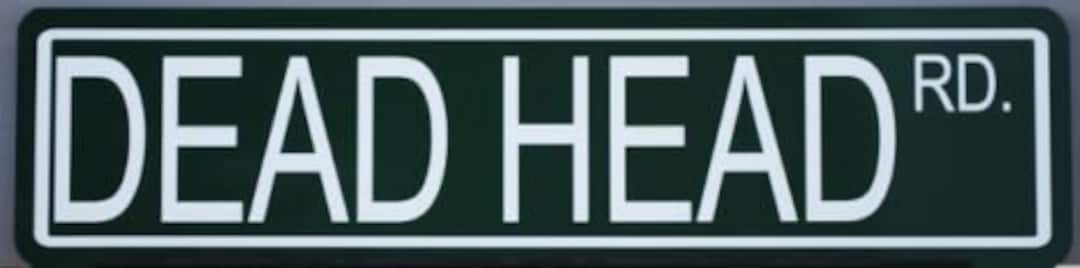 DEAD HEAD ROAD Green Metal Street Sign 6 X 24 Garage Man Cave Gift - Etsy