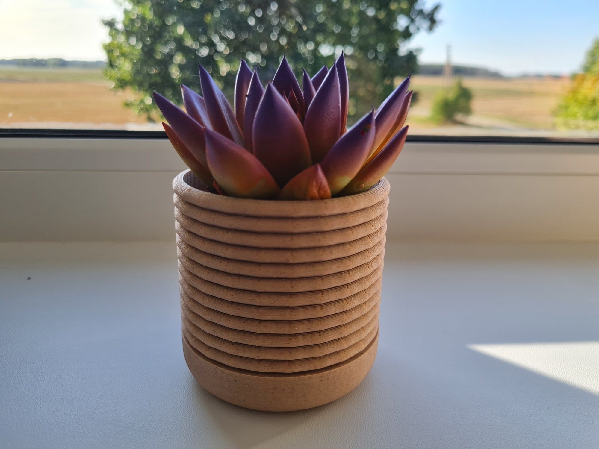 Minimalist Planters With Wood Texture Eco-friendly - Etsy