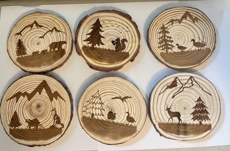Nature Scenery Coasters - Etsy