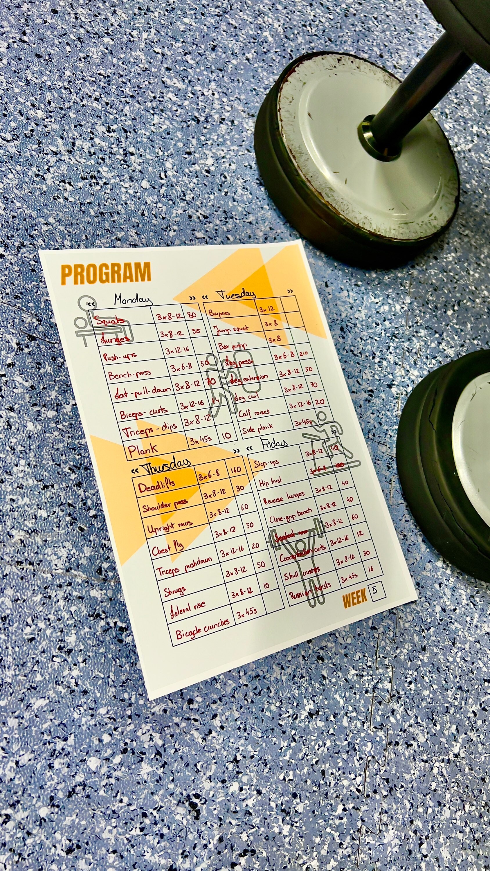 Fitness Program Template, Minimalist and Stylish, Highly Customizable ...