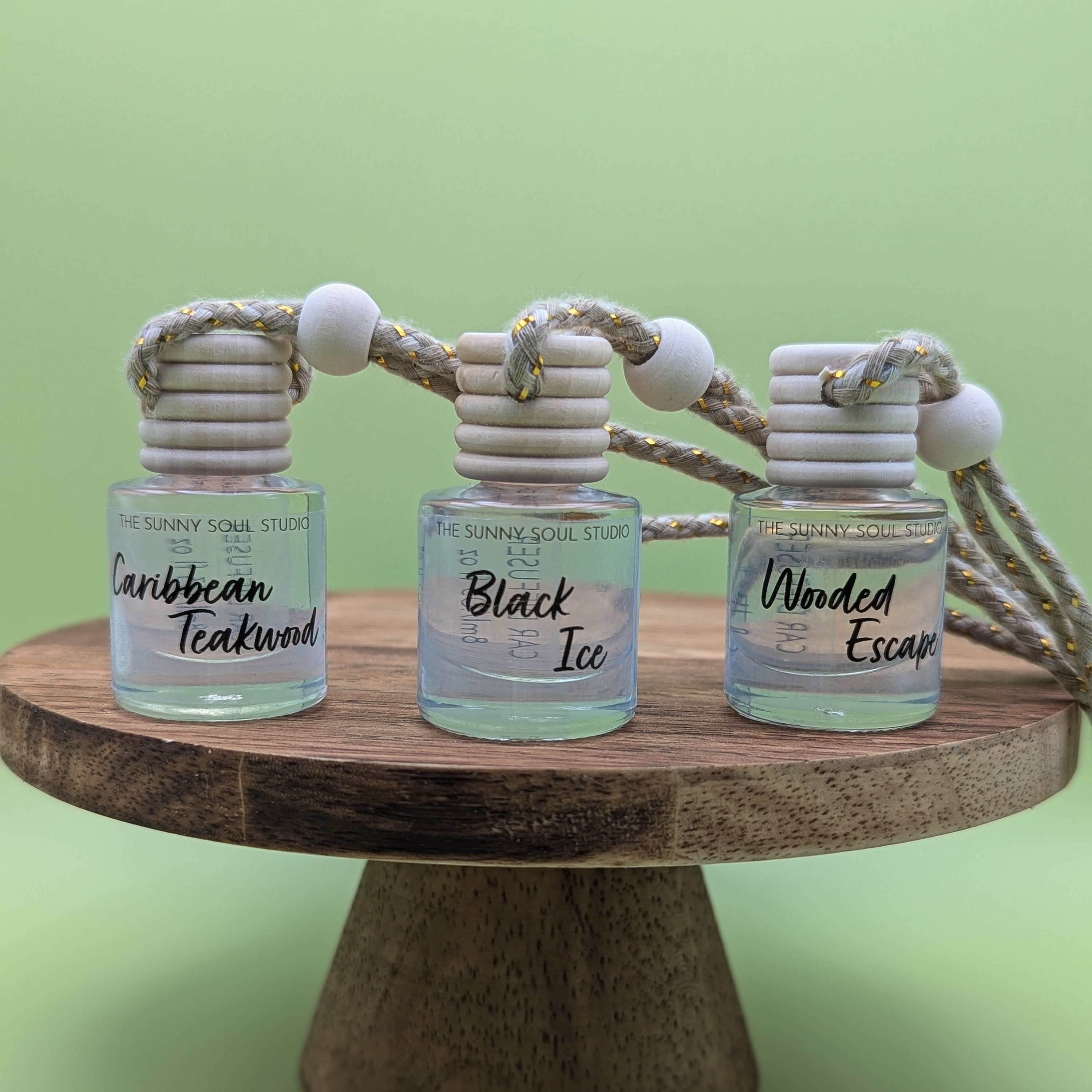 Hanging Diffuser for Car Air Freshener Accessory - Etsy