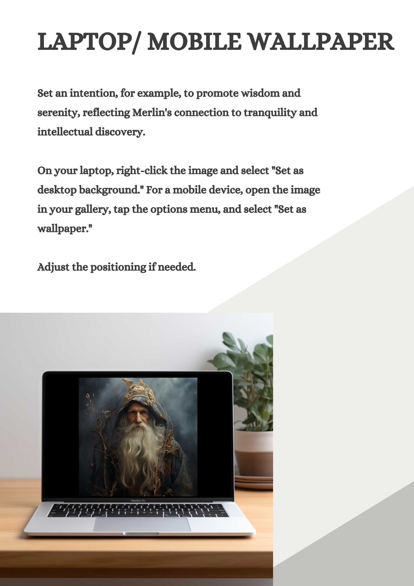 Merlin's Contemplation: the Enchanter in Repose digital Download ...