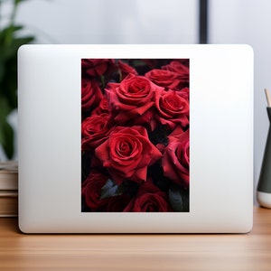 Mystical Red Roses Digital Download Enchanted Flower Photography for ...