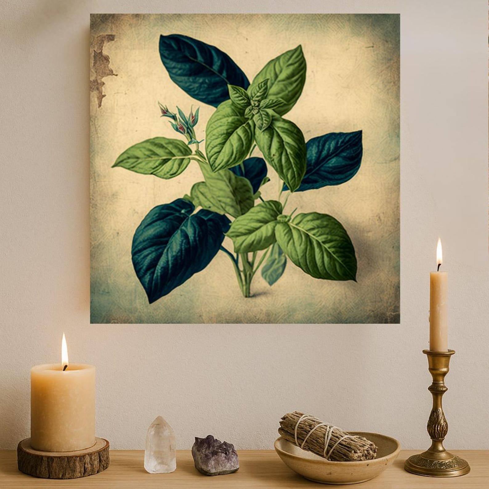 Basil Herb Art Print Digital Download - Botanical Wall Decor for ...