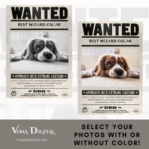 Personalized Wizard Wanted Poster Printable PDF, Witch & Wizard Custom ...