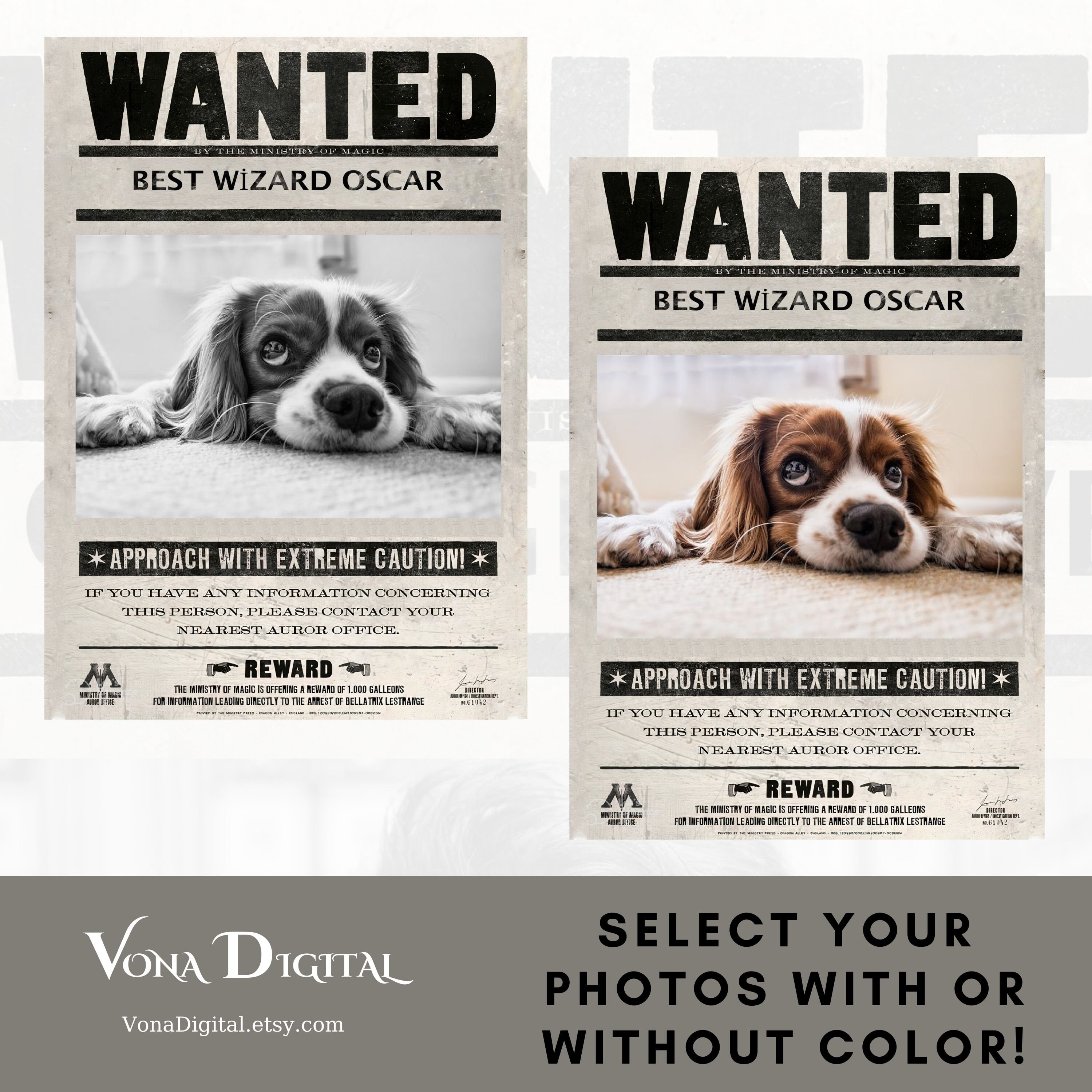 Personalized Wizard Wanted Poster Printable PDF Witch & - Etsy