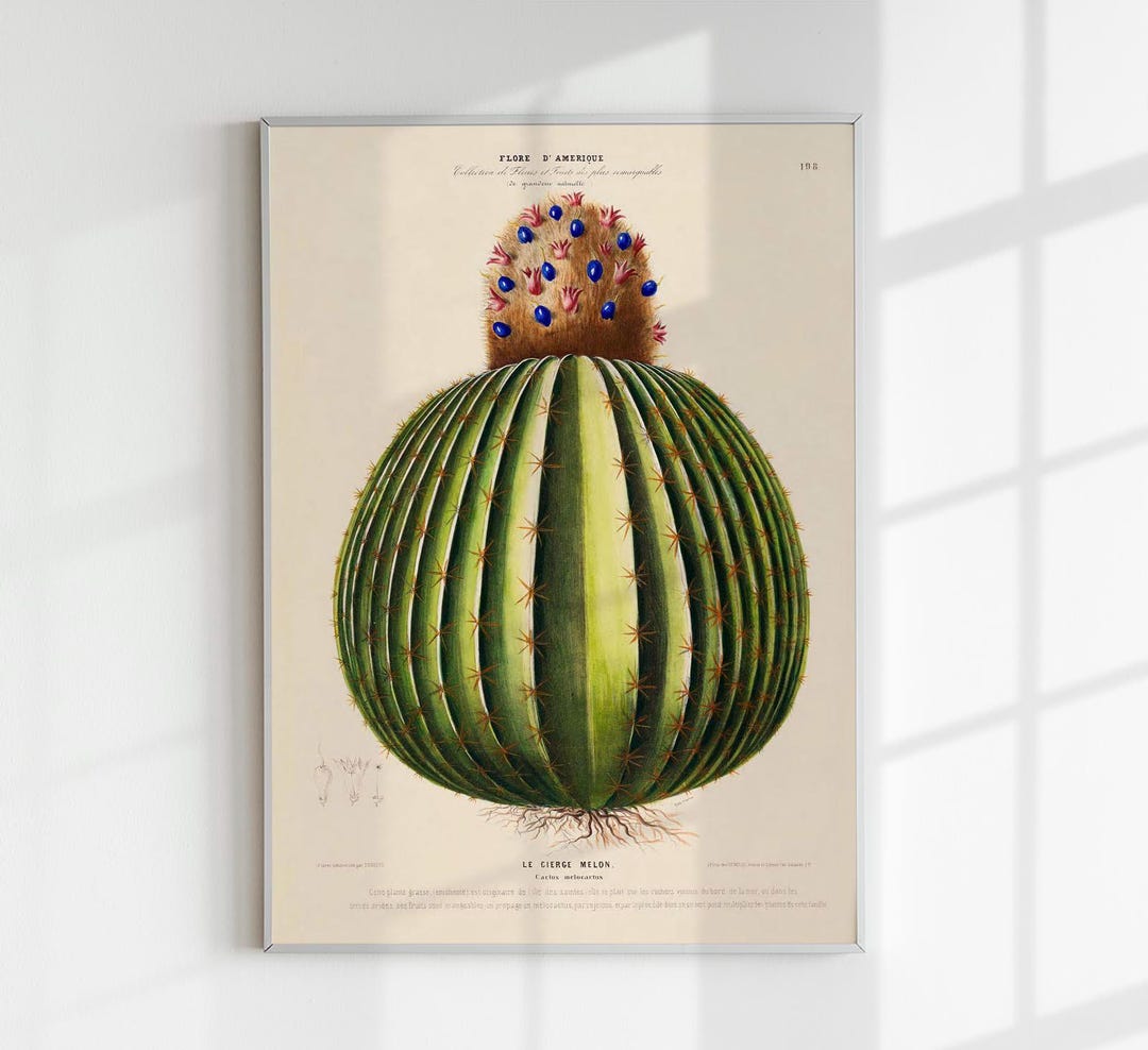 Le Cierre Melon Botanical Art Print - Etsy