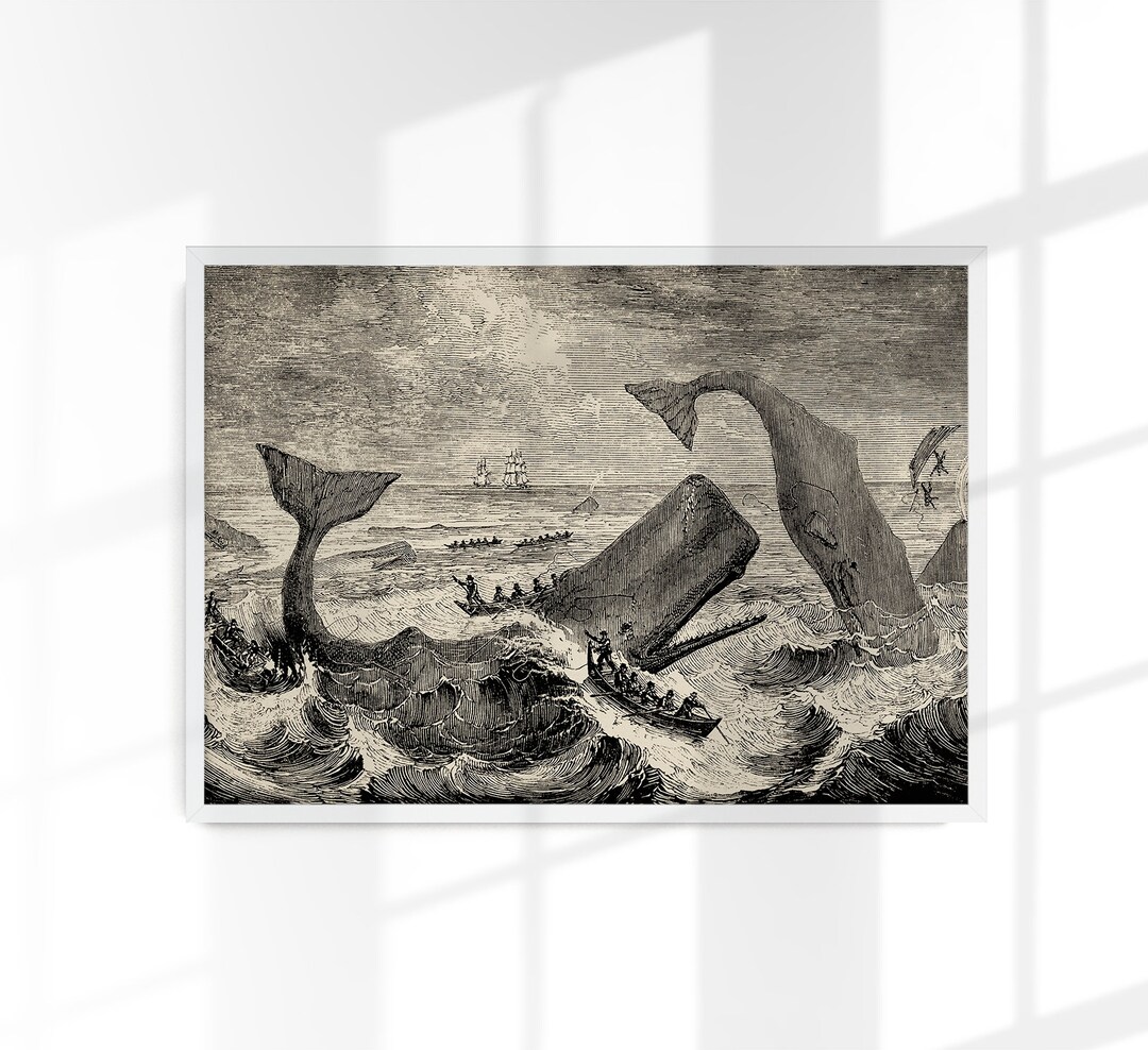 Moby Dick Scene Poster Art Print - Etsy