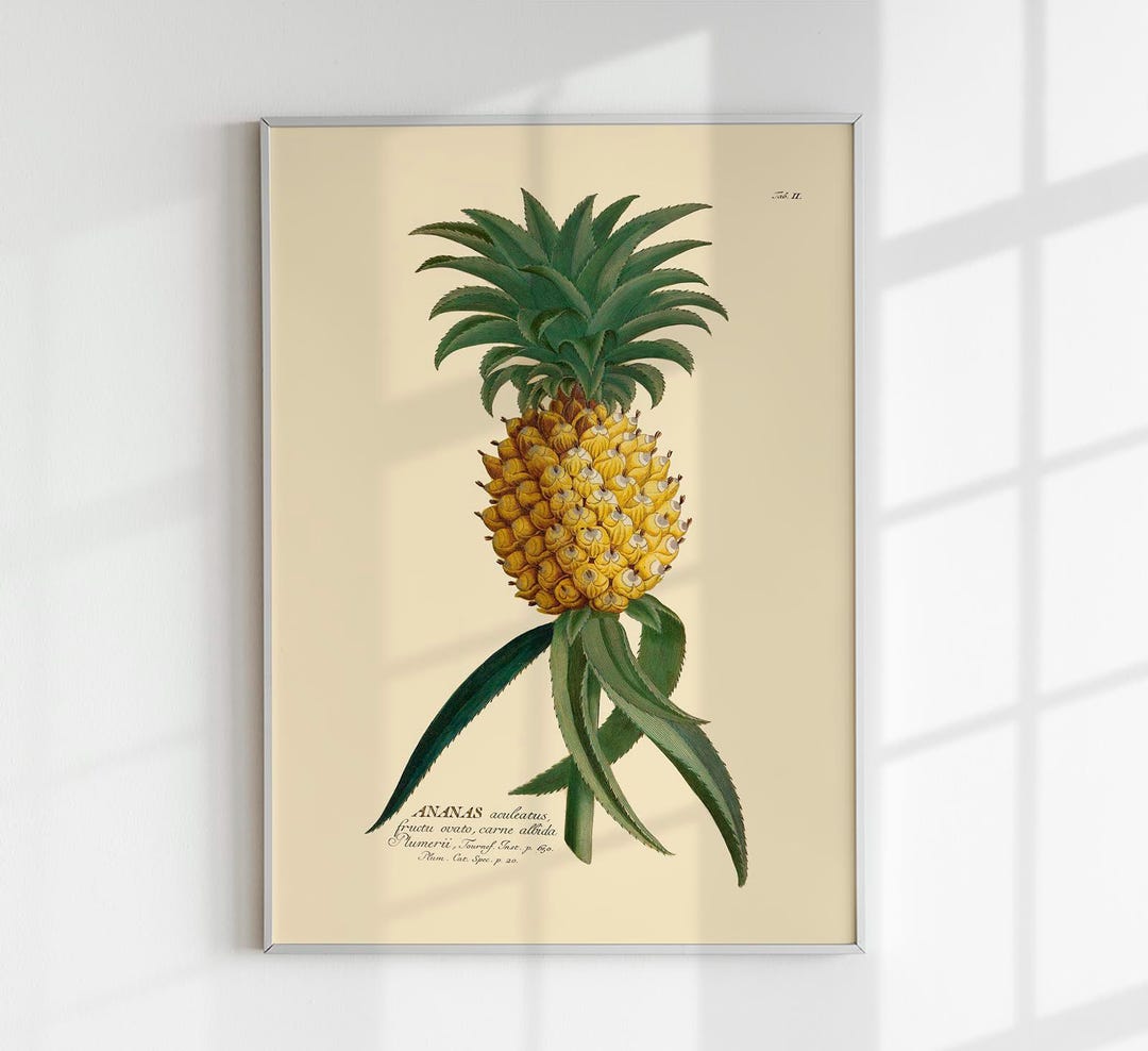 Ananas Botanical Art Print - Etsy