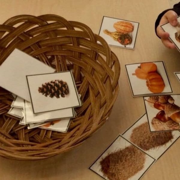 Montessori Language - Etsy