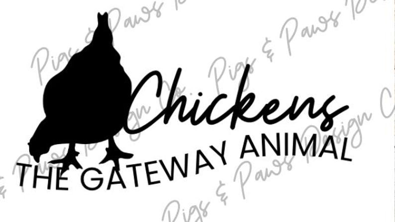 Chickens the Gateway Animal SVG & PNG Files Chicken Shirts Chicken ...