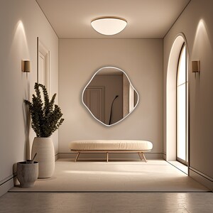 Organic Shaped Mirror, Fluid Mirror, Contemporary Wall Mirror, Freeform ...